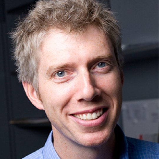 Sean MURPHY | IEA Nantes