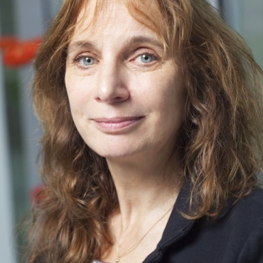 Ildikó BELLÉR-HANN | IEA Nantes